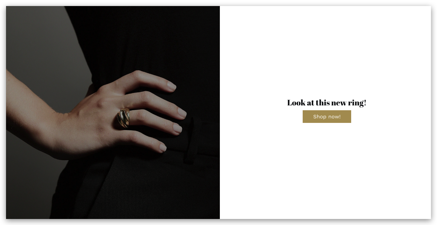 Image Text Section